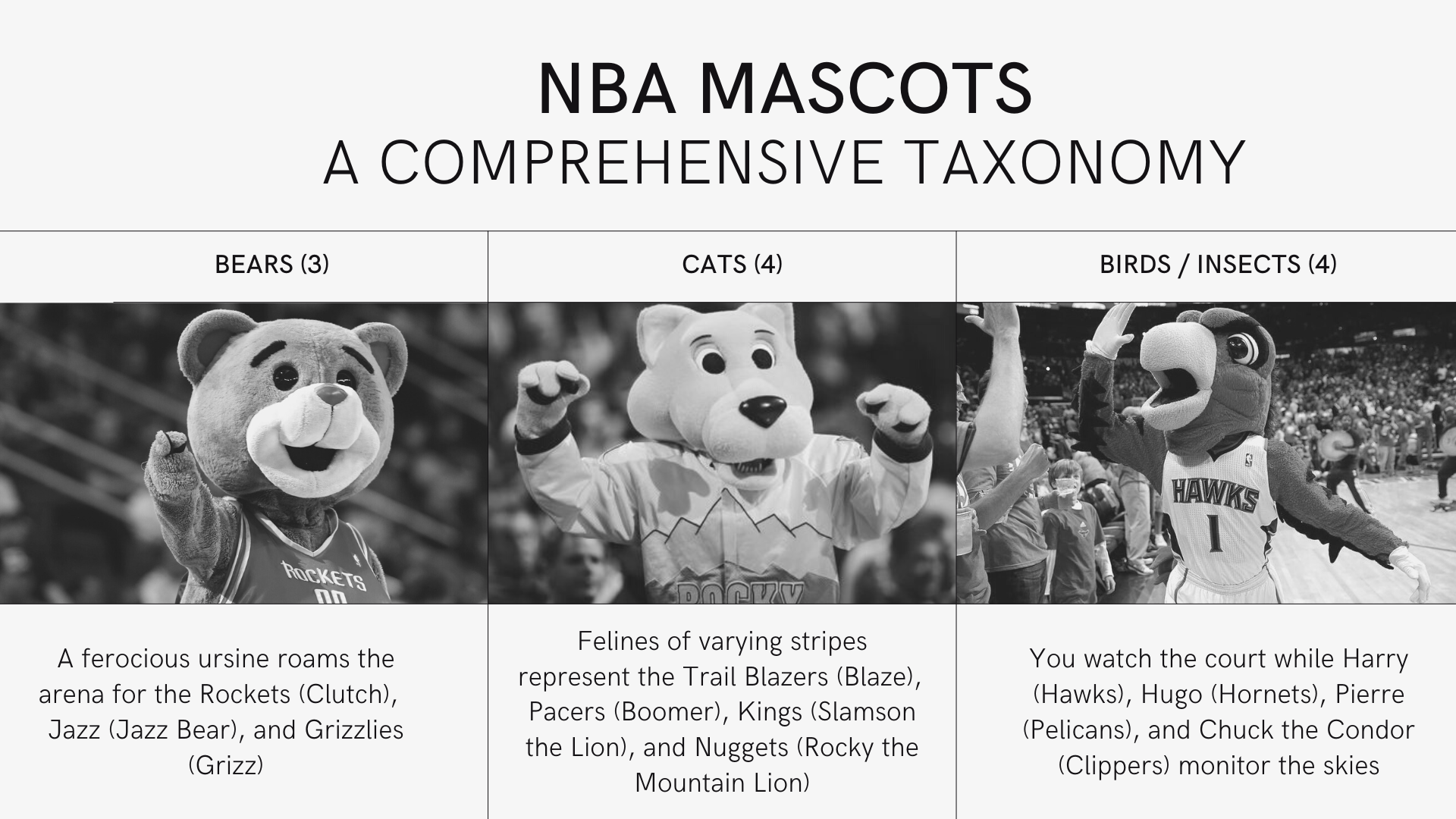Lions and tigers and Clutch the Bear, oh my!: Ranking the 26 NBA mascots